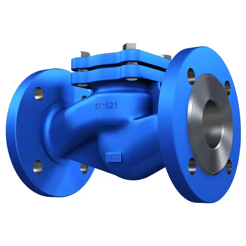 Van một chiều hơi - Van lò hơi Boiler valve V2P